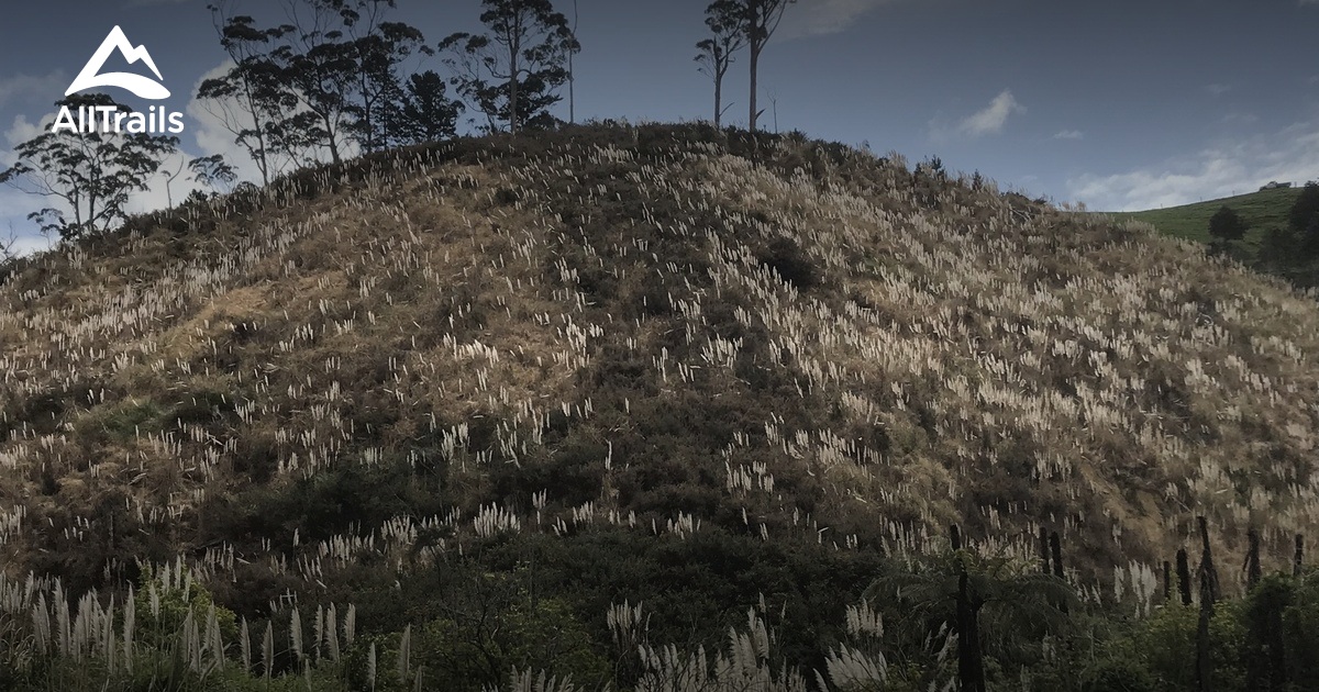 Pukekawa - hikes and trails to get you there | AllTrails