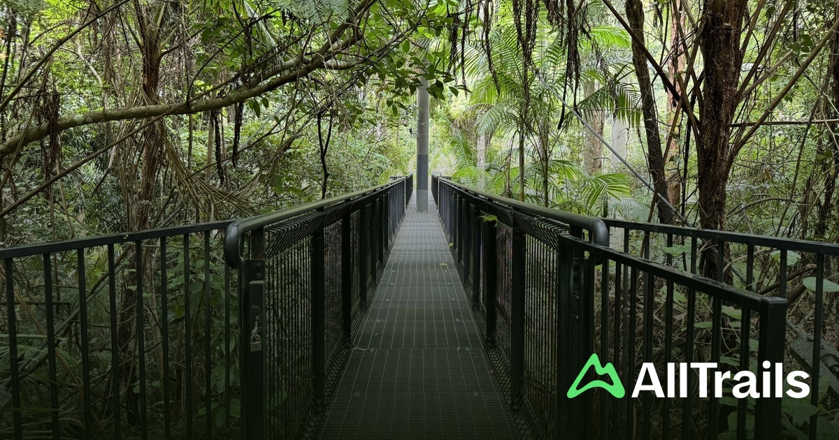 Creek lookout - hikes and trails to get you there | AllTrails