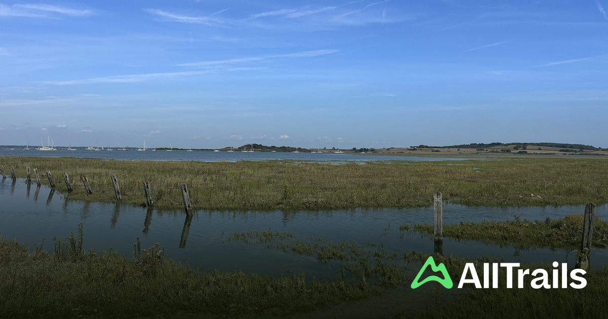 Best trails near East Bird Hide | AllTrails