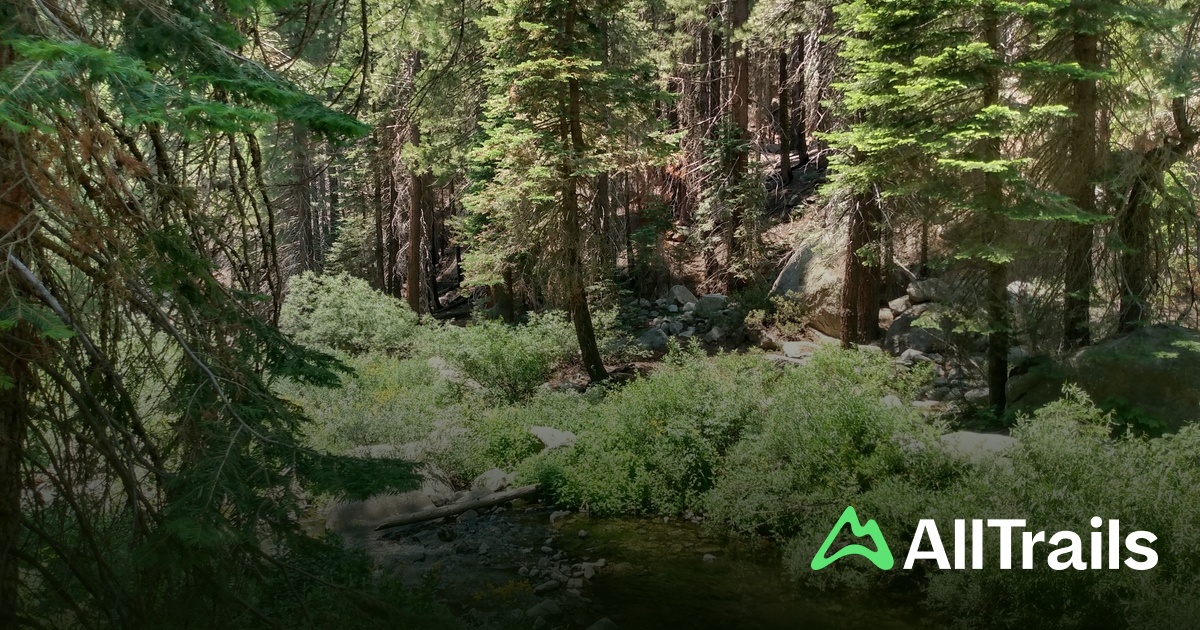 Shake Camp Campground - hikes and trails to get you there | AllTrails