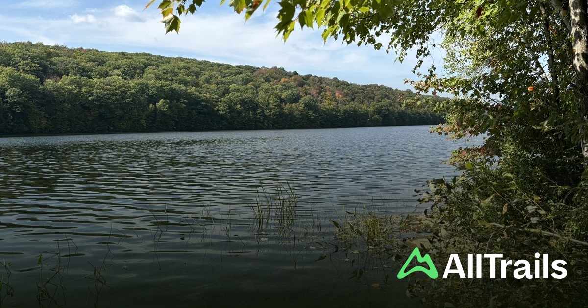 West Cove A Beach - hikes and trails to get you there | AllTrails