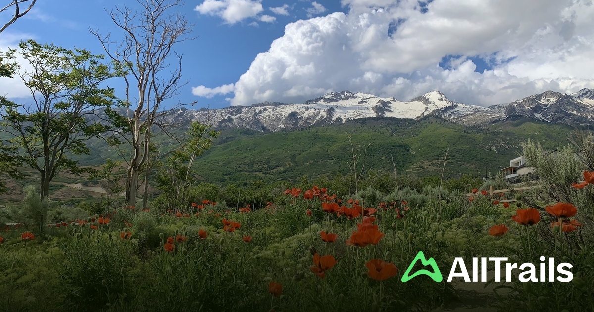 Lambert Poppy Garden - hikes and trails to get you there | AllTrails