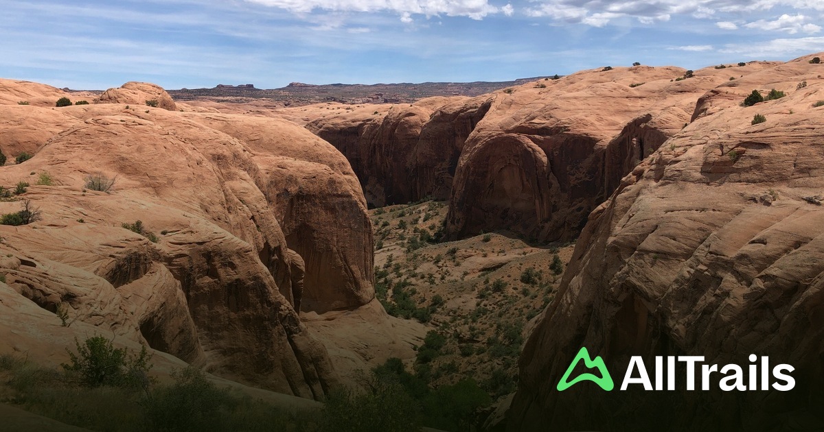 As melhores trilhas perto de SFRA Loop B - Bobcat Campground | AllTrails