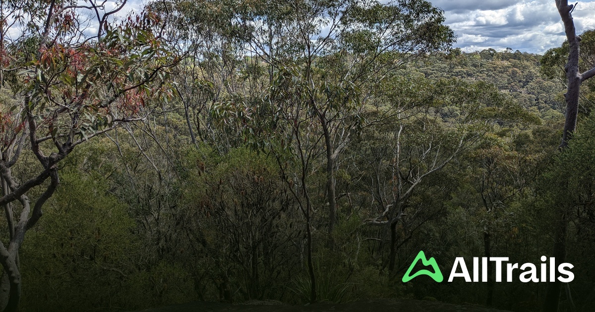 Bidwill’s Clearing - hikes and trails to get you there | AllTrails