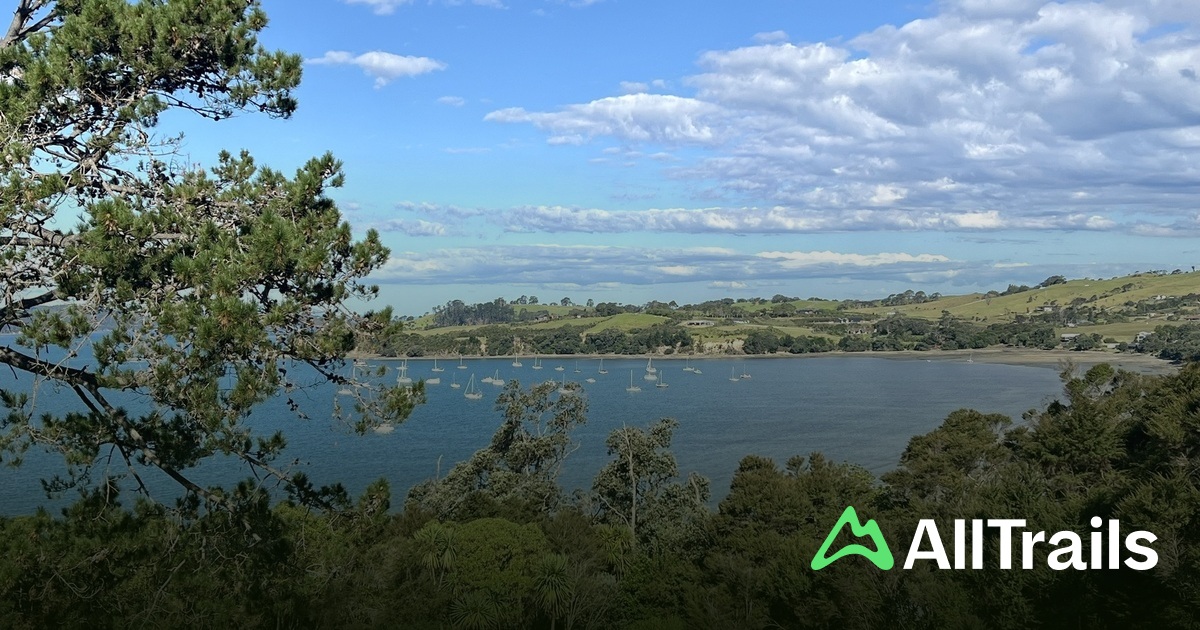 Algies Bay - hikes and trails to get you there | AllTrails