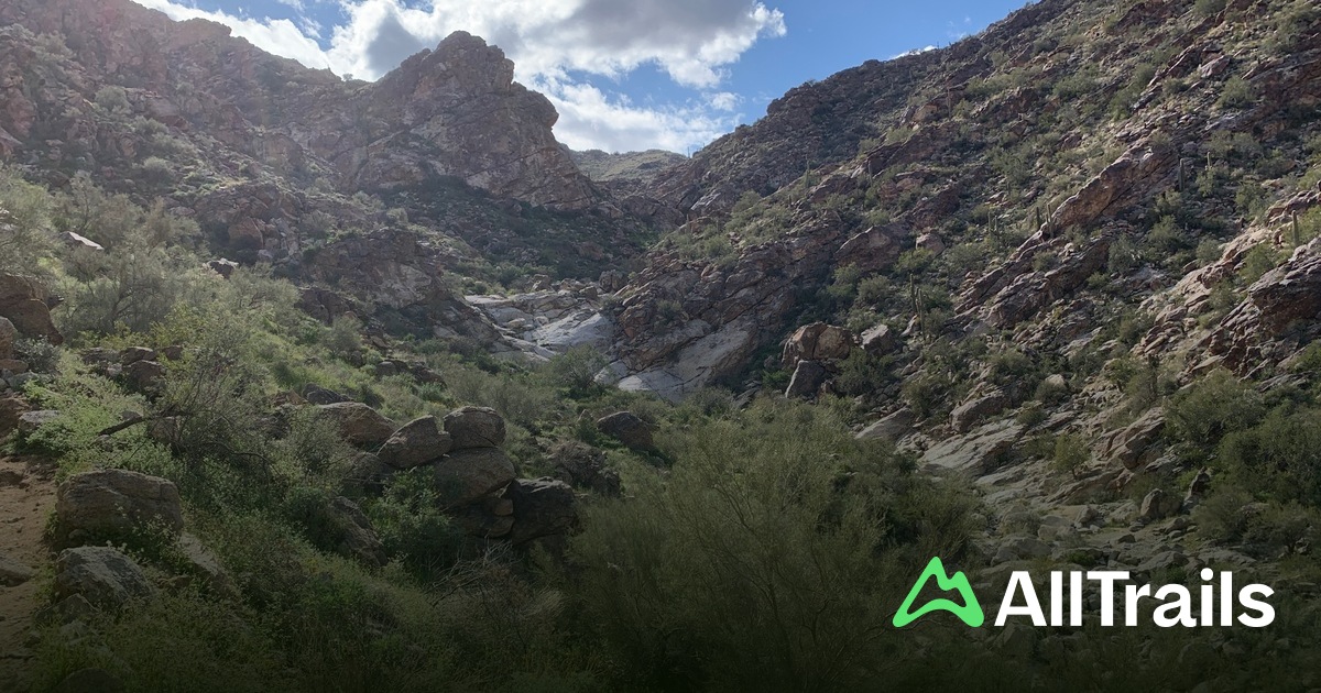 Ford Canyon - hikes and trails to get you there | AllTrails