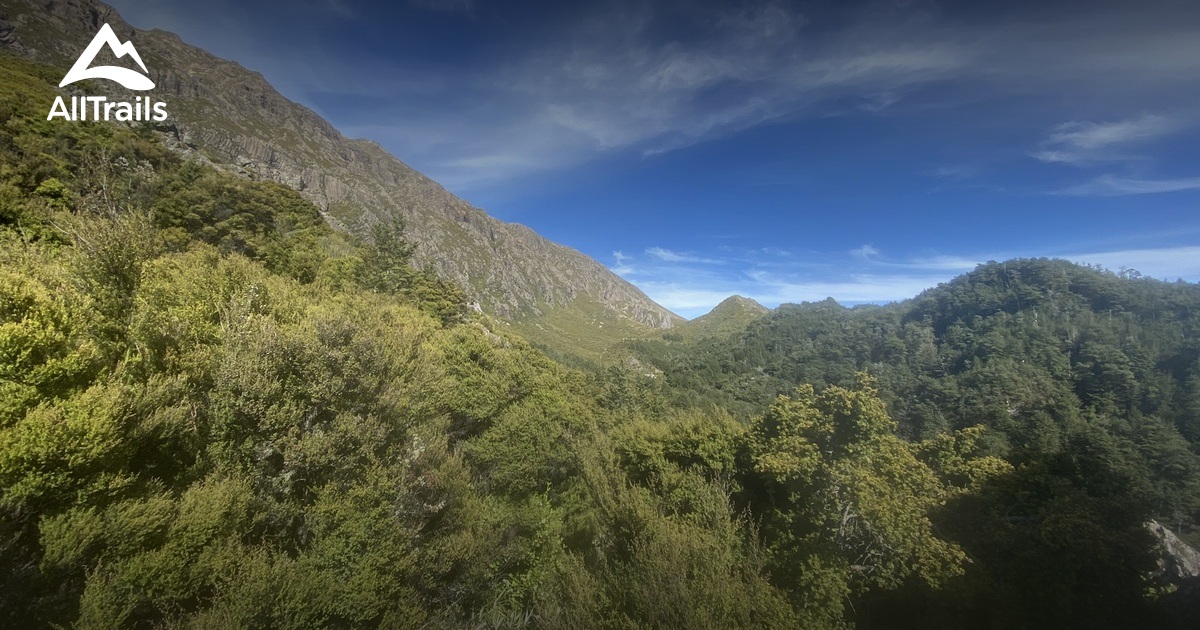 Sharplin Falls - hikes and trails to get you there | AllTrails