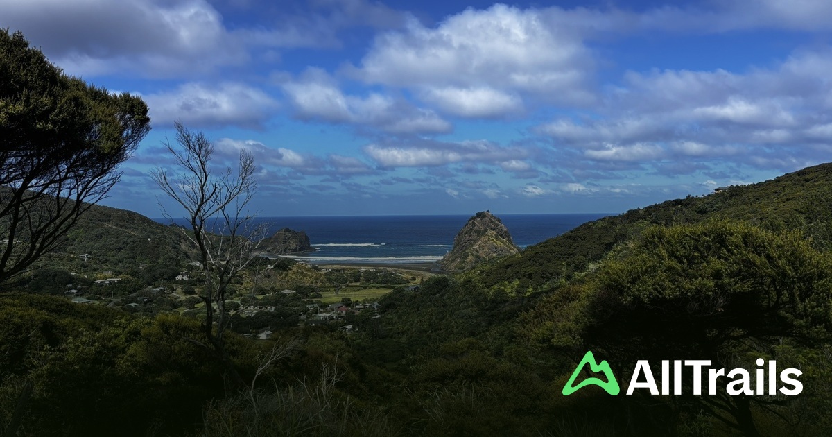 Lilly Ponds - hikes and trails to get you there | AllTrails