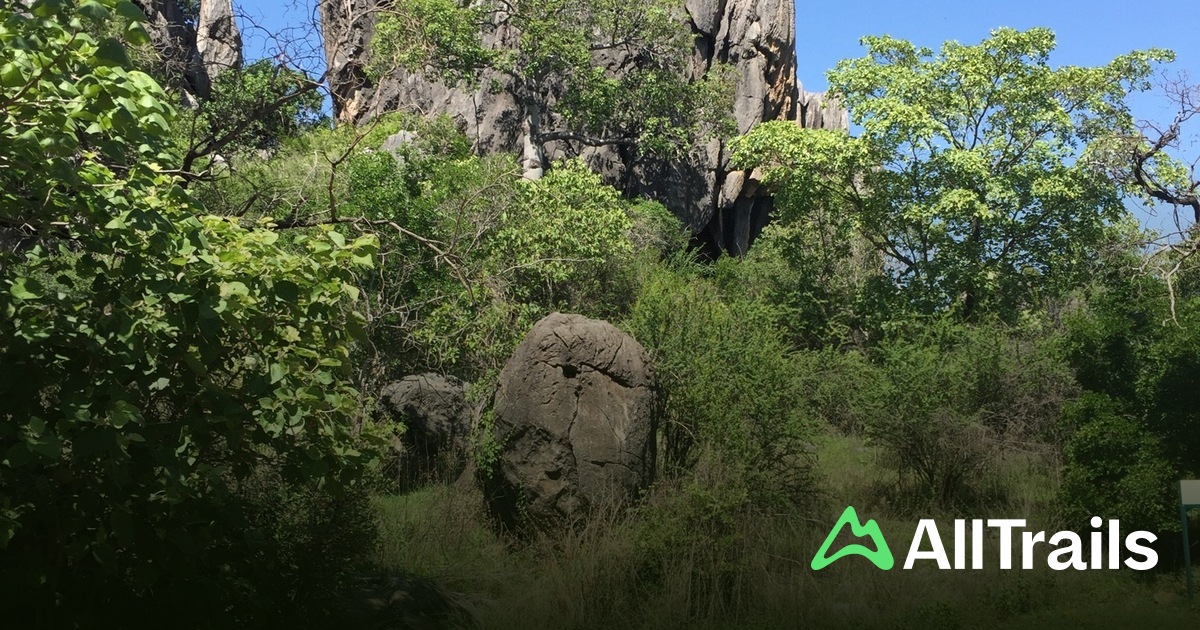 Trezkinn Cave Lookout - hikes and trails to get you there | AllTrails