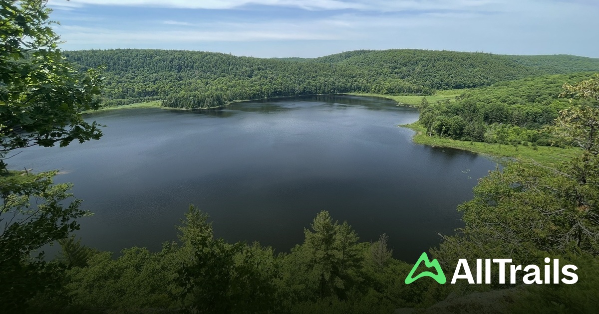 Best trails near Brown Lake Lookout | AllTrails