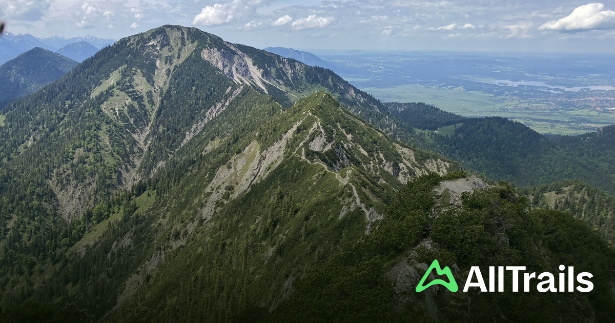 Hans-Frey-Hütte - hikes and trails to get you there | AllTrails