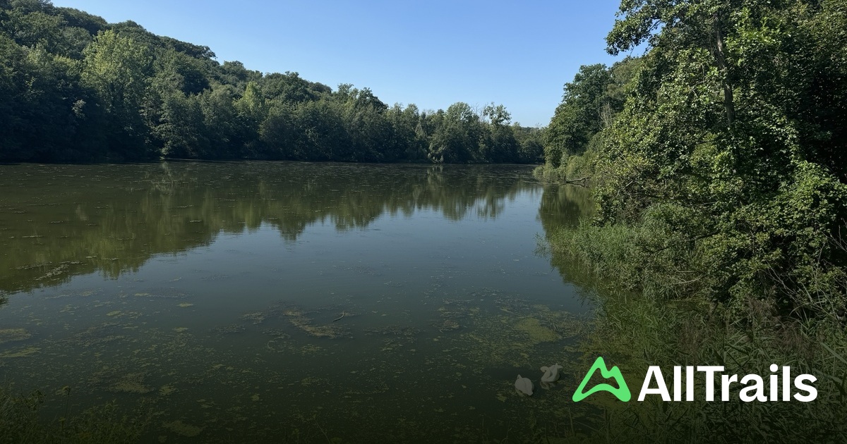 Étang de la Geneste - hikes and trails to get you there | AllTrails