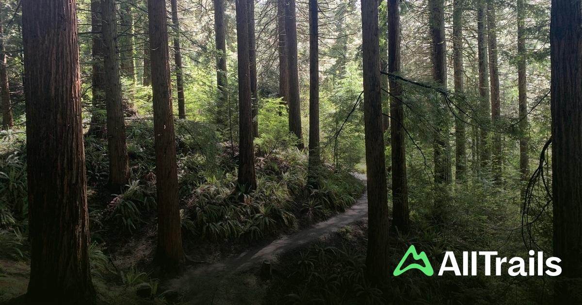 Portland Japanese Garden : les meilleures randonnées | AllTrails