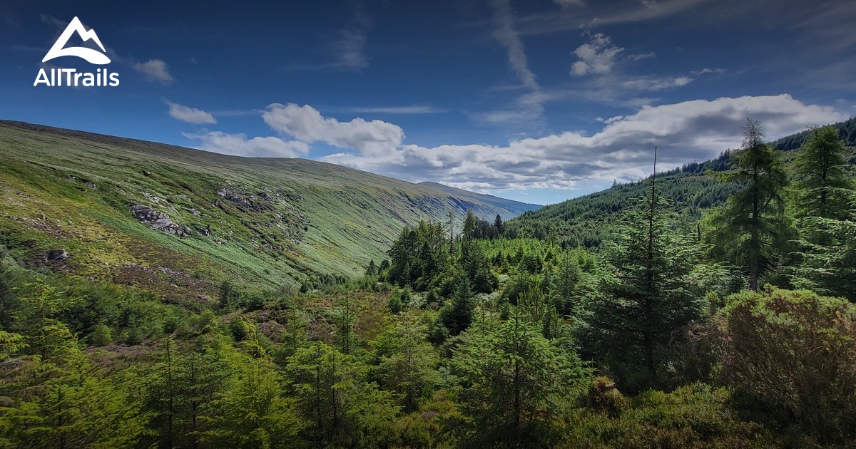 Table Mountain - hikes and trails to get you there | AllTrails