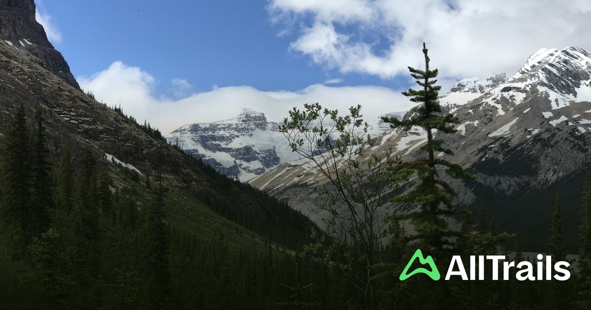 Saskatchewan Glacier Forefield Lake - hikes and trails to get you there ...