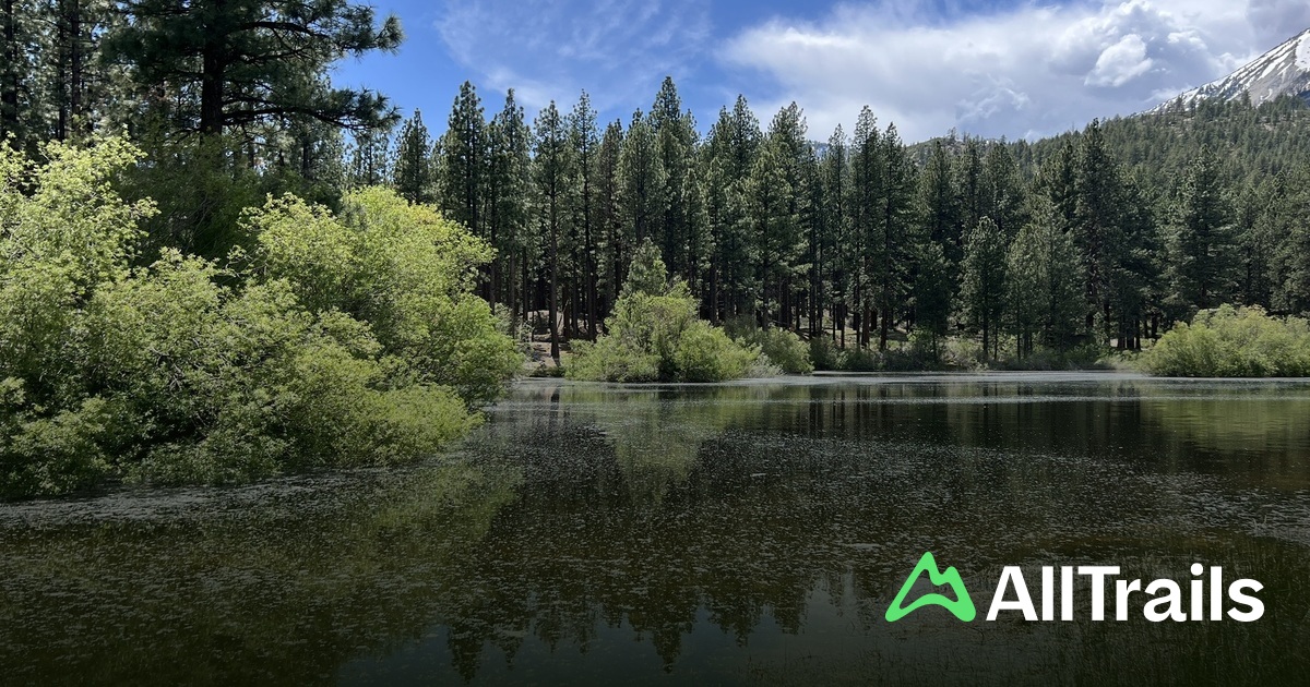 Davis Creek Campground - hikes and trails to get you there | AllTrails