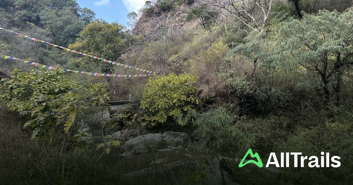 Jharipani Waterfall: Die besten Routen in der Umgebung | AllTrails