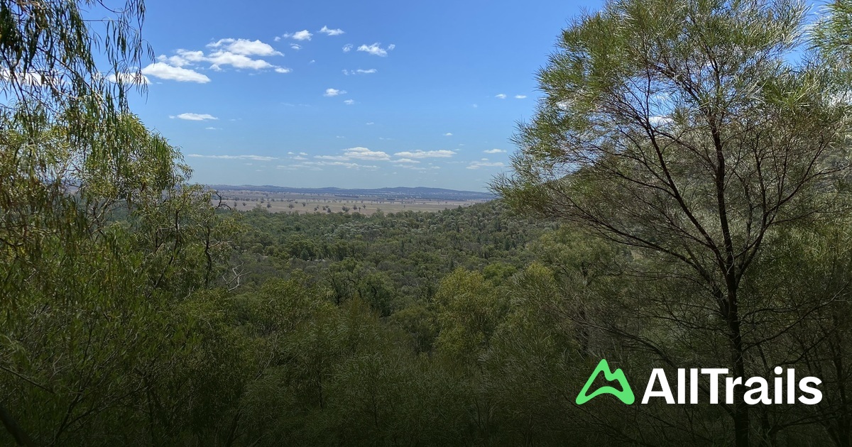 Ben Hall Picnic Area - hikes and trails to get you there | AllTrails