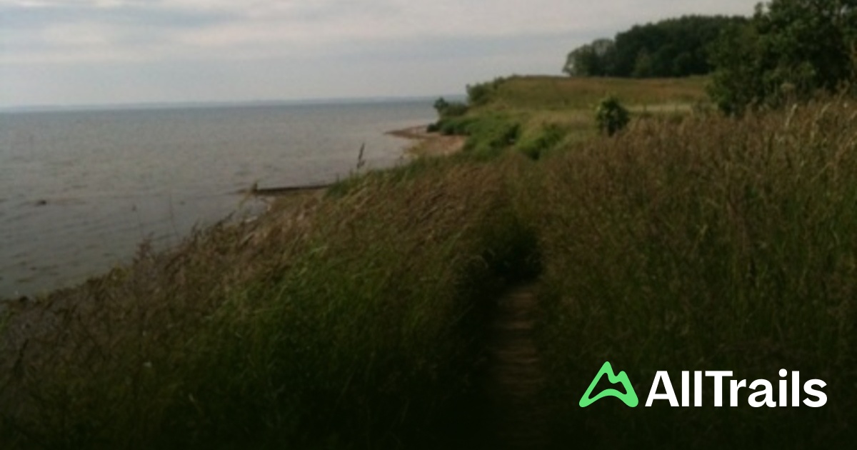 Hundestrand / Naturstrand - hikes and trails to get you there | AllTrails