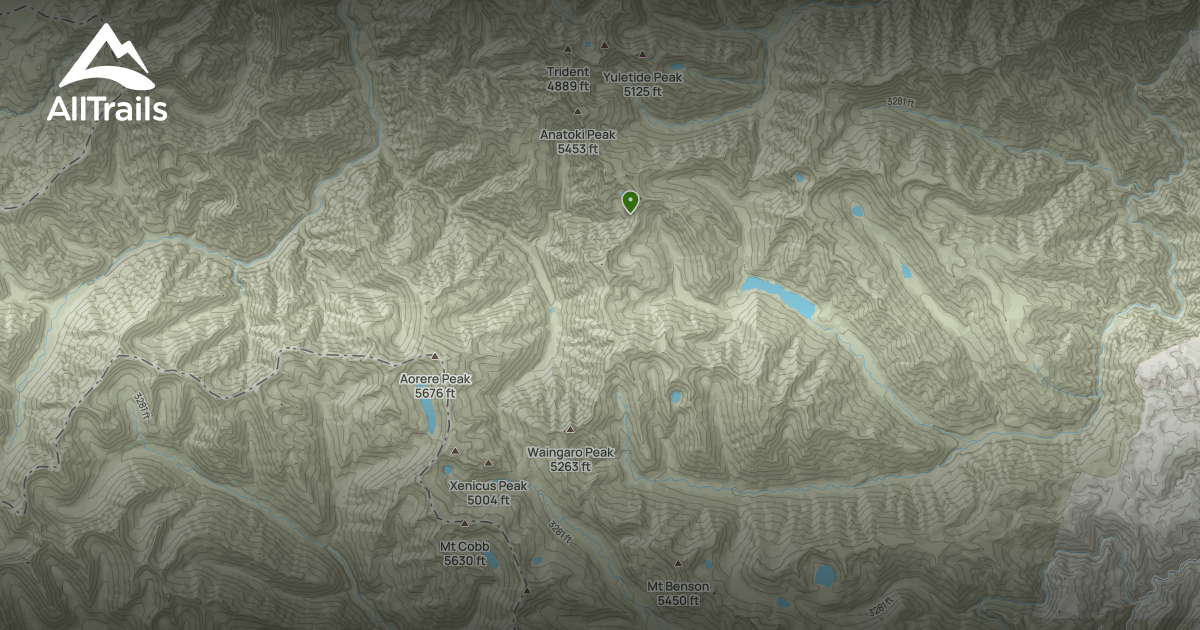 Waingaro Peak - hikes and trails to get you there | AllTrails