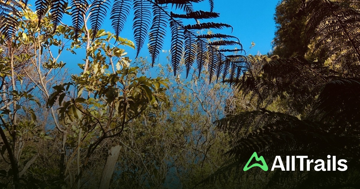 Shag Stream Campsite - hikes and trails to get you there | AllTrails