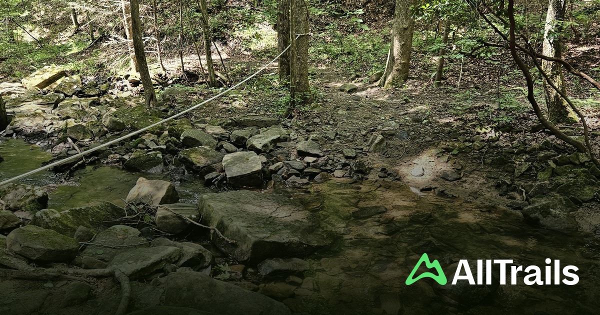Durham Backcountry Campsite - hikes and trails to get you there | AllTrails