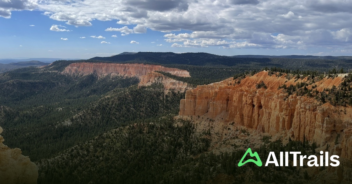 Rainbow Point Picnic Area - hikes and trails to get you there | AllTrails
