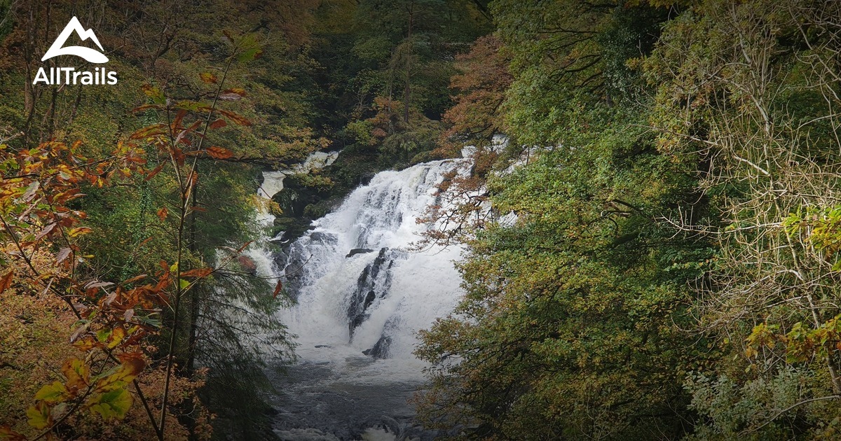 Swallow Falls - hikes and trails to get you there | AllTrails