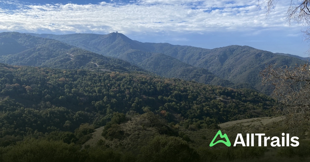 I 10 migliori sentieri vicino a Bell Tower | AllTrails