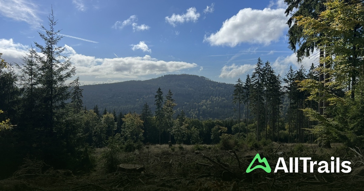 Limes - hikes and trails to get you there | AllTrails