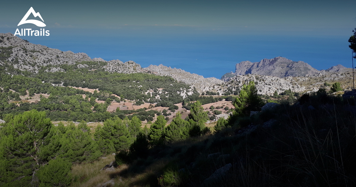 Serra de son Torrella C - hikes and trails to get you there | AllTrails