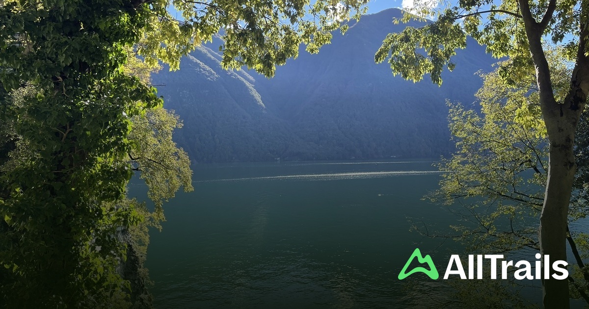 Spiaggia Pubblica, Parco Ciani Lugano: Die besten Routen in der ...