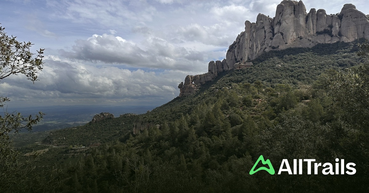 Roca de la Biga : les 10 meilleurs itinéraires à proximité | AllTrails