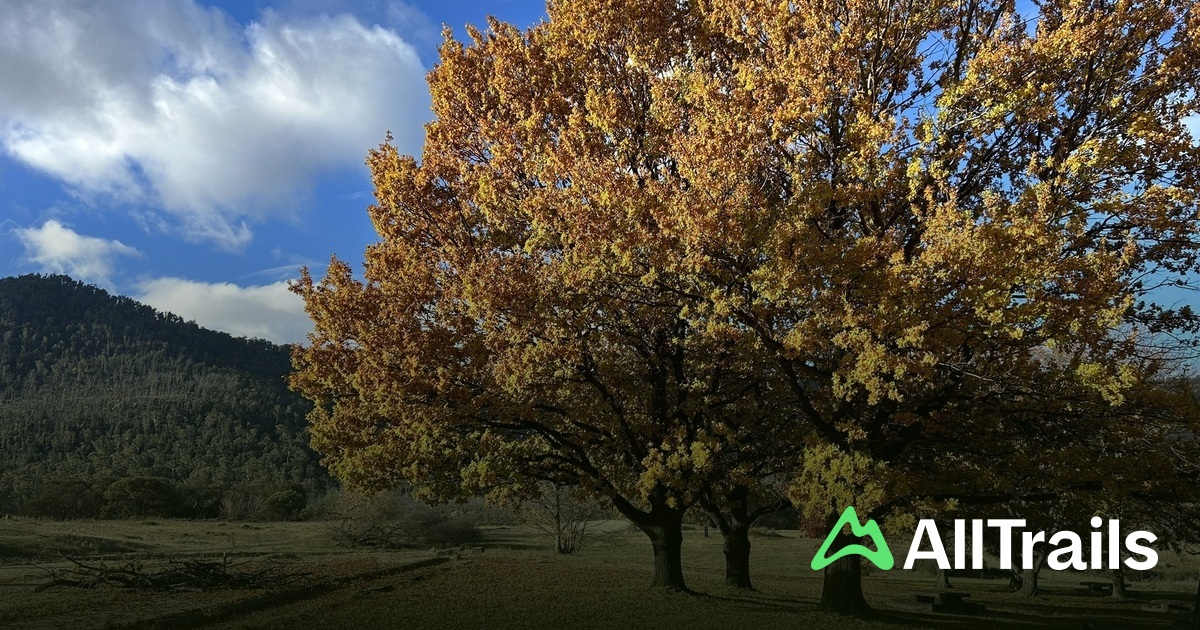 Former Operations Building : les meilleures randonnées | AllTrails