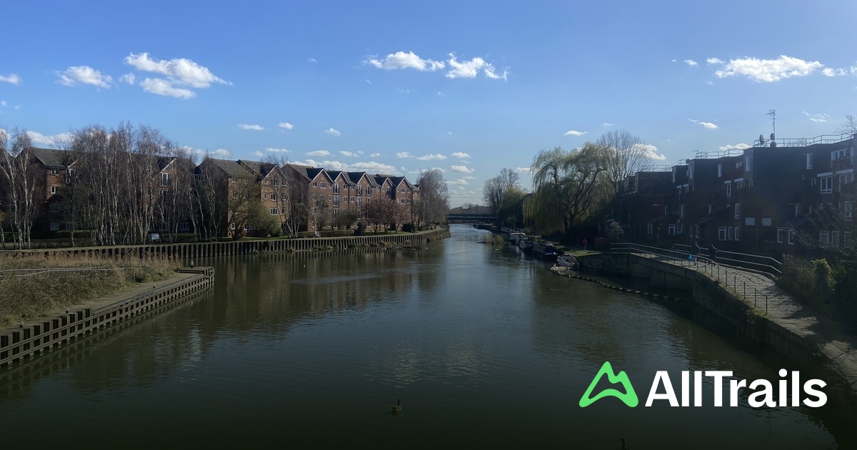 Los 10 mejores senderos cerca de River Lee Diversion | AllTrails