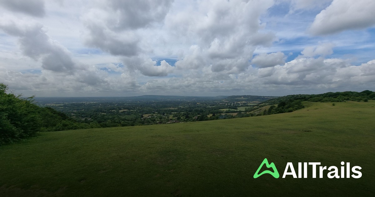 Juniper Hill : les 10 meilleurs itinéraires à proximité | AllTrails