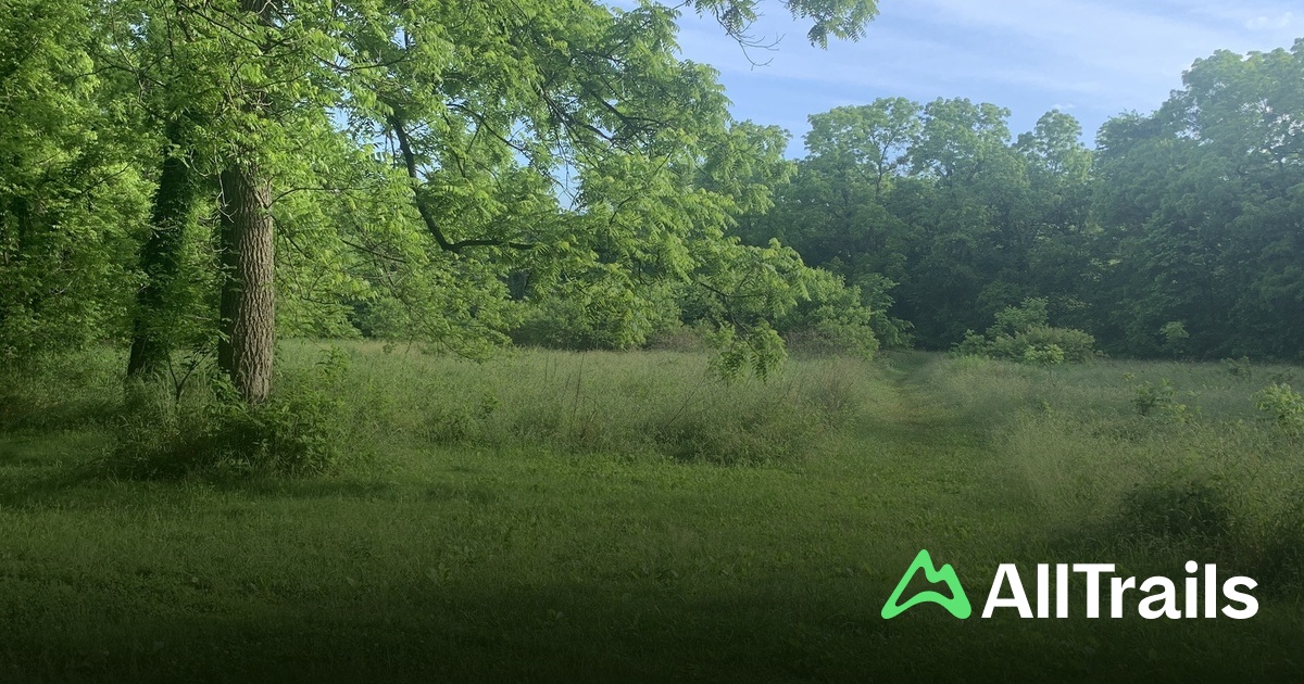 Bästa lederna nära Gibson Spring | AllTrails