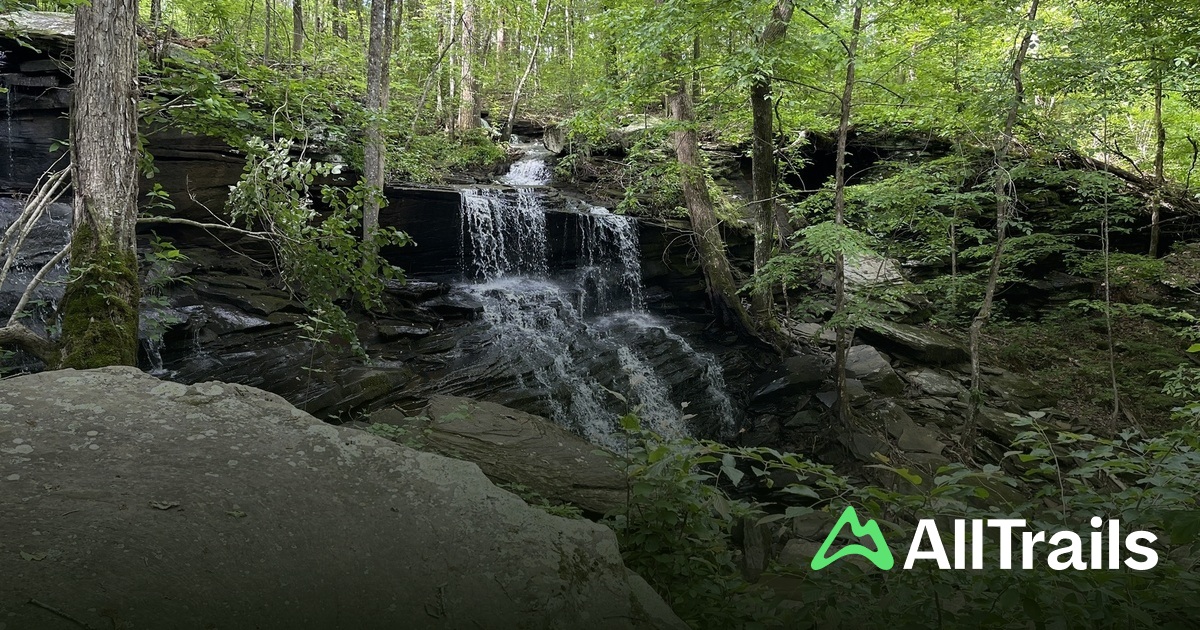 Best trails near Little Possum North Campsite | AllTrails