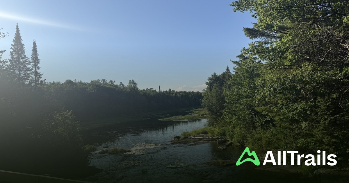 Bästa lederna nära Seguin River | AllTrails