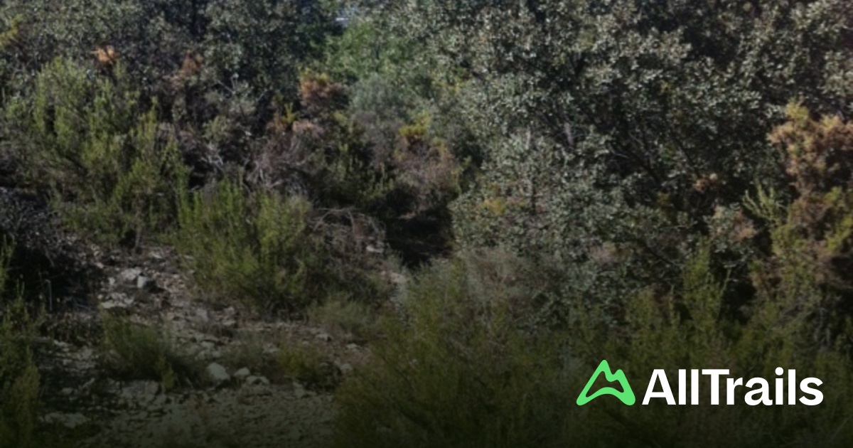 I migliori sentieri vicino a Picos de Santa María | AllTrails