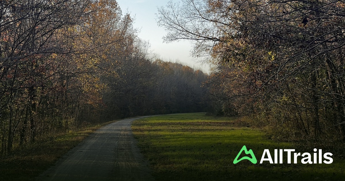 Best trails near Main Brothers Campground | AllTrails