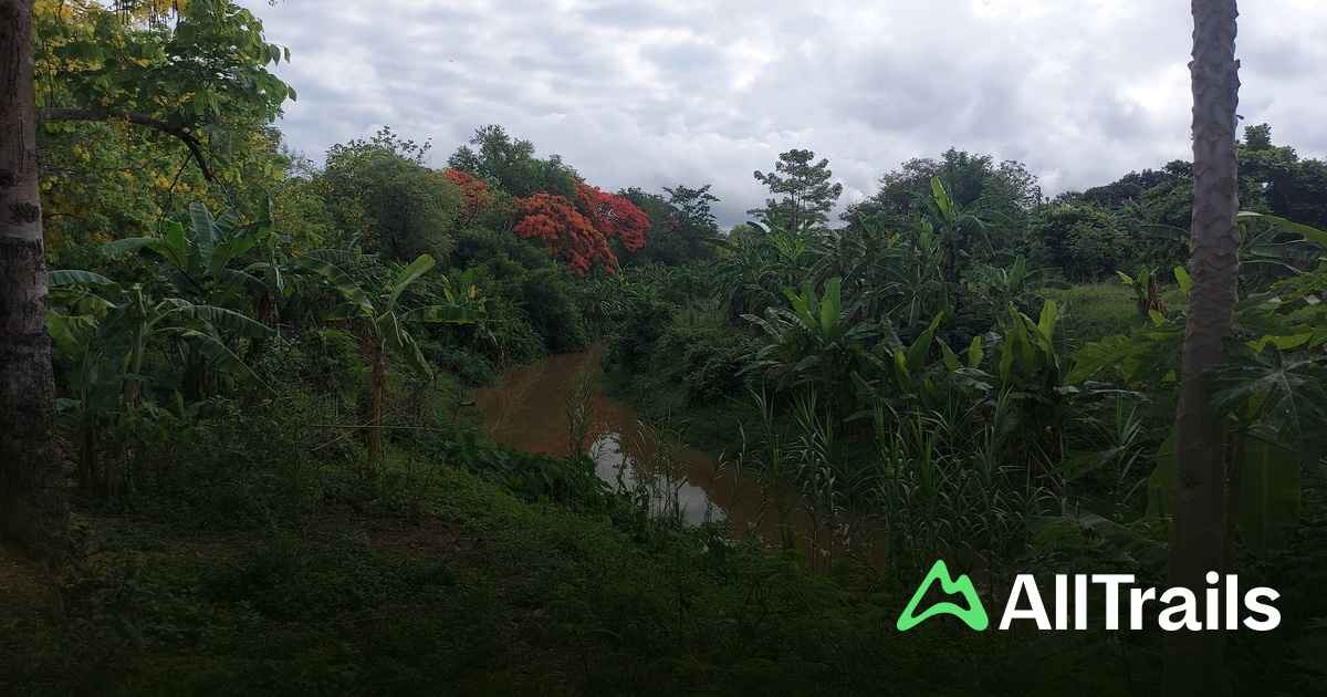 Pang Pao Beach - hikes and trails to get you there | AllTrails