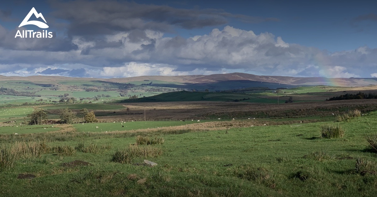 Waun Garnedd-y-filiast : les meilleures randonnées | AllTrails