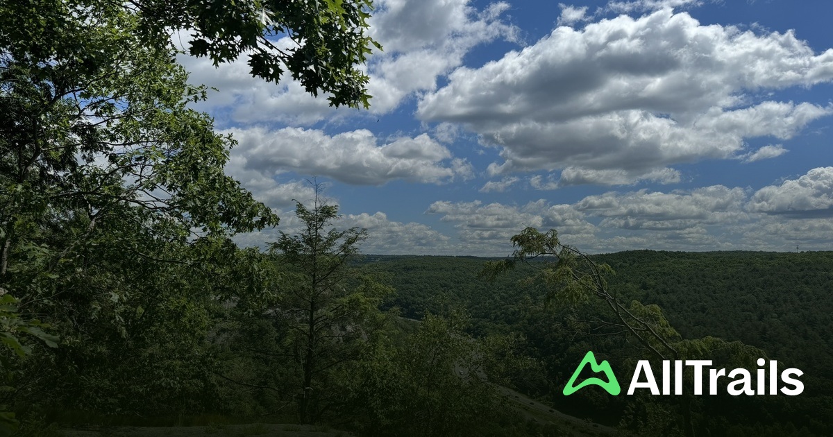 Spruce Brook Falls - hikes and trails to get you there | AllTrails