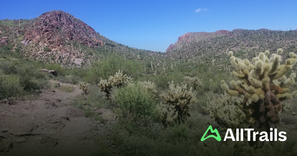 Pantano Wash - hikes and trails to get you there | AllTrails