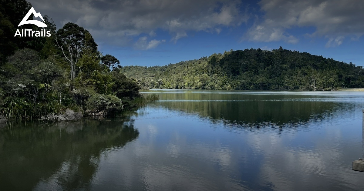 Waitākere Falls - hikes and trails to get you there | AllTrails