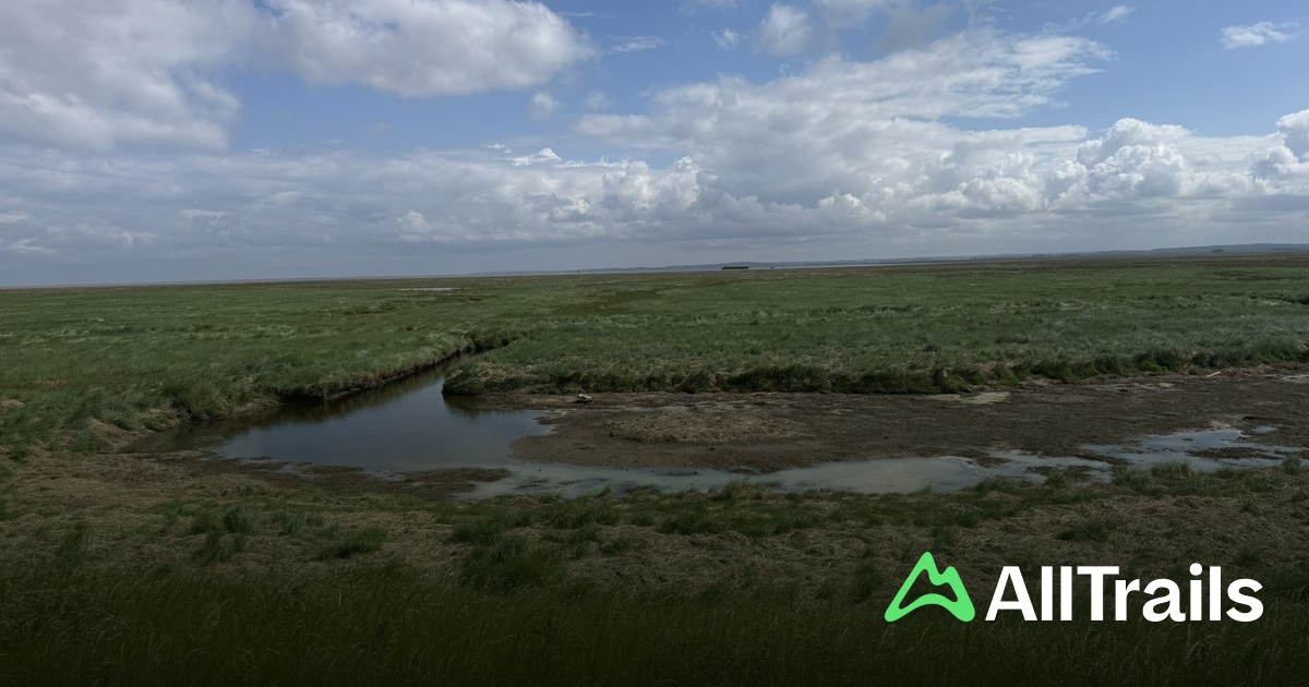 Sir Peter Scott Lighthouse : les meilleures randonnées | AllTrails