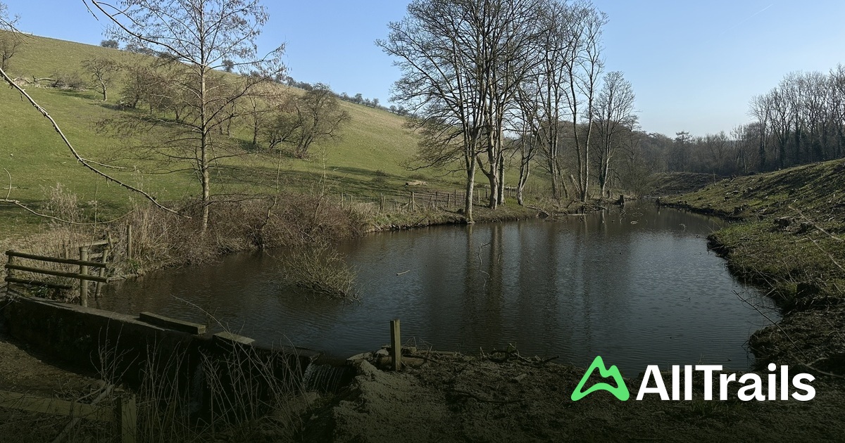 Austin's Dale - hikes and trails to get you there | AllTrails