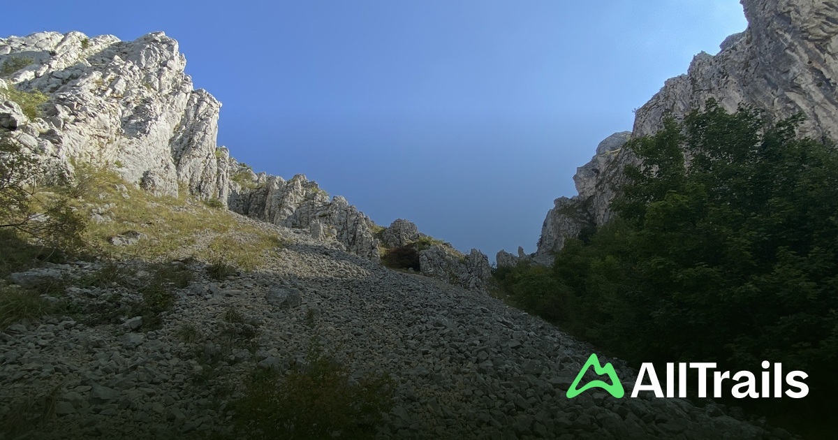 Micești: Die besten Routen in der Umgebung | AllTrails