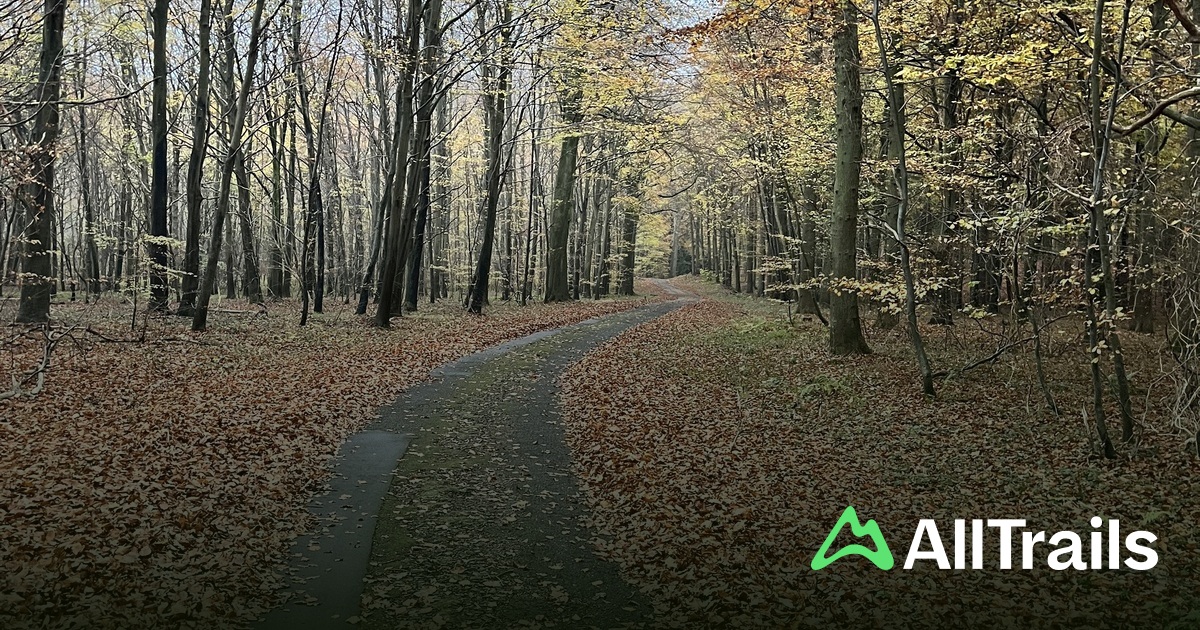 Evolutionære Vildskud - hikes and trails to get you there | AllTrails